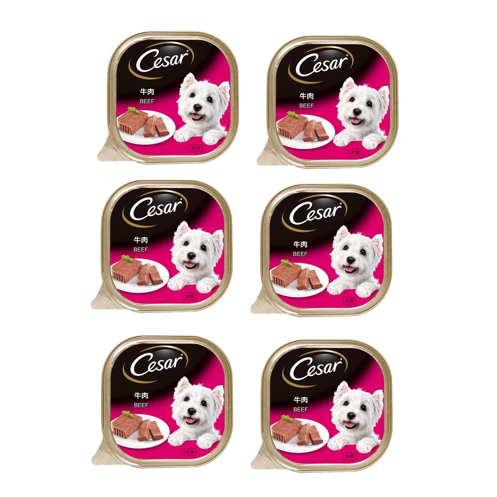 Cesar Beef Wet Dog Food 100g Pack of 6 | Shopee Philippines