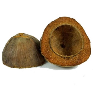 Bunot / Lampaso / Coconut Husk / Filipino-style Floor Polisher | Shopee ...