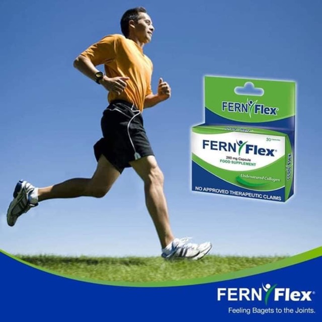 Fern Flex - Undenatured Type II Collagen presyo ₱2,500