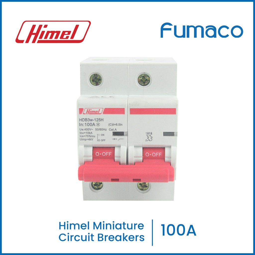 Himel Miniature Circuit Breaker - 100A / 2 Poles / Best Breaker for ...