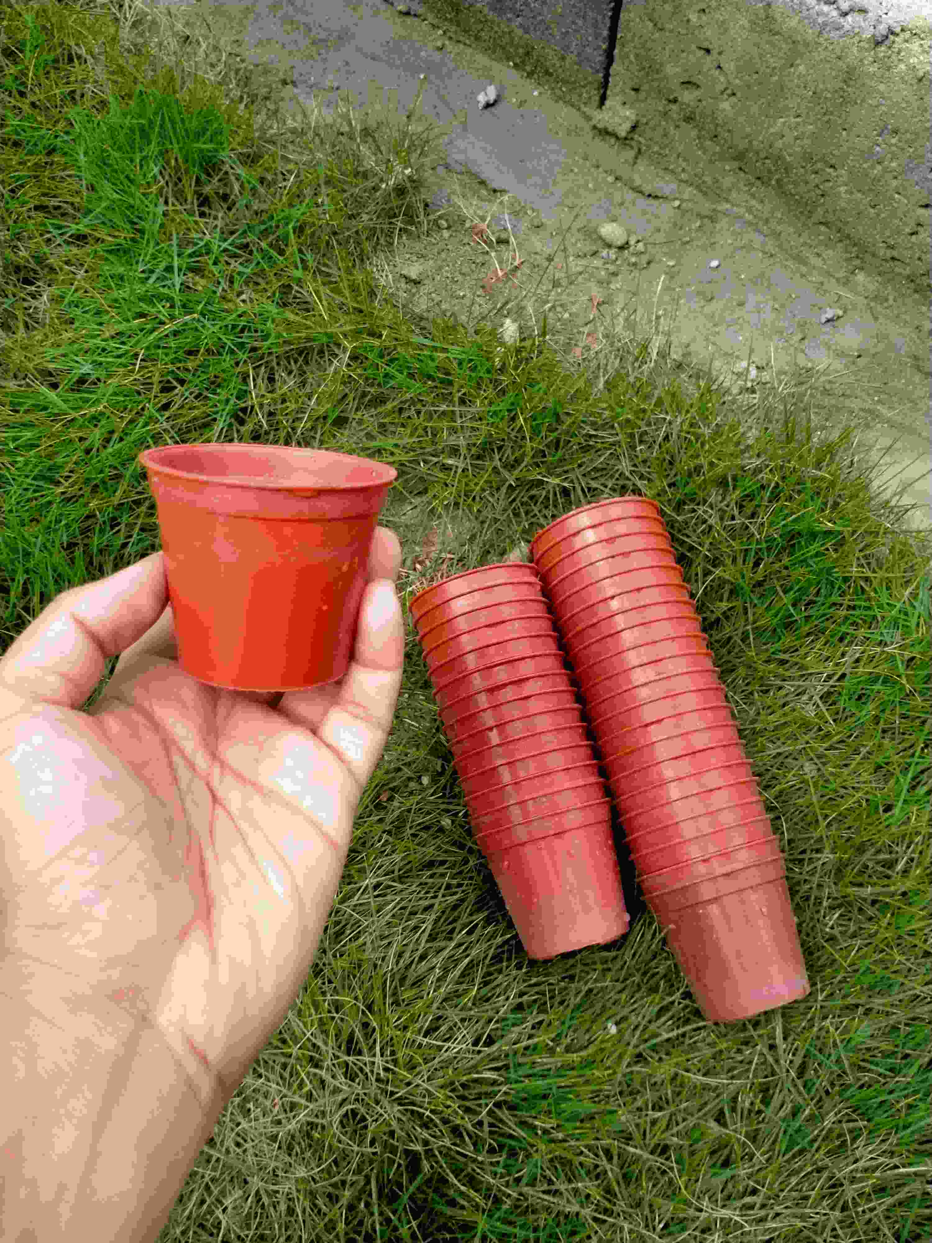 MINI pot, taho pot, EXTRA SMALL pot | Shopee Philippines