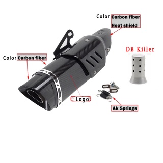 AKRAPOVIC M1 Motor Exhaust Muffler Pipe (38-51mm inlet) | Shopee ...