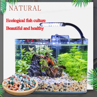 Colorful Rocks Selected White Pebbles Stones Natural stone Aquarium ...