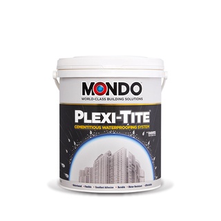 BOYSEN Plexibond / DAVIES - Mondo Plexitite (Gallon / 4 Liters ...