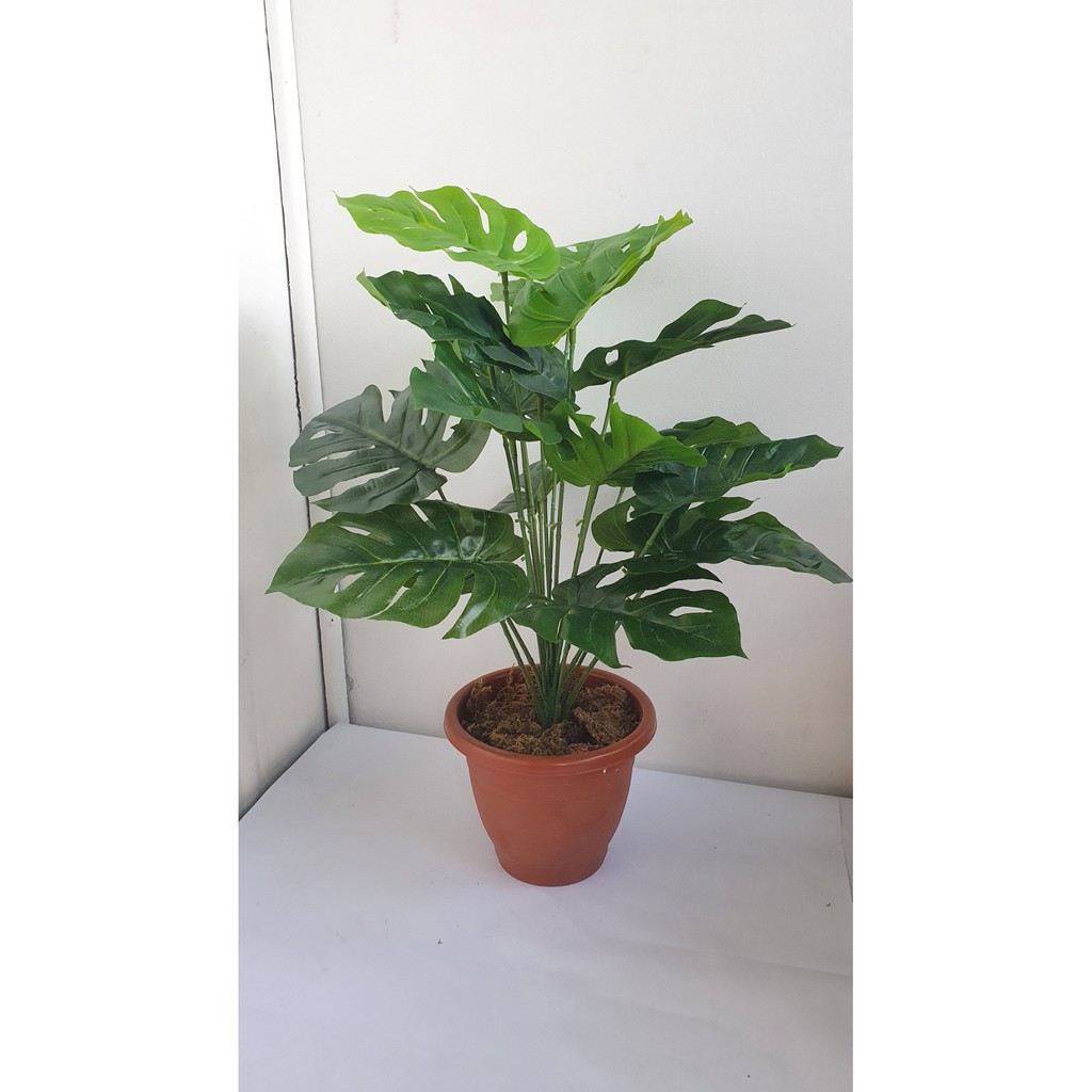 Artificial XL Split Philo Leaves Large Arrangement Plant in Pot 2 Feet Philodendron Selloum ...