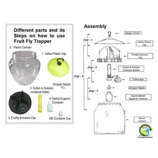 Fruit Fly Trap only (add Methyl Eugenol) | Shopee Philippines