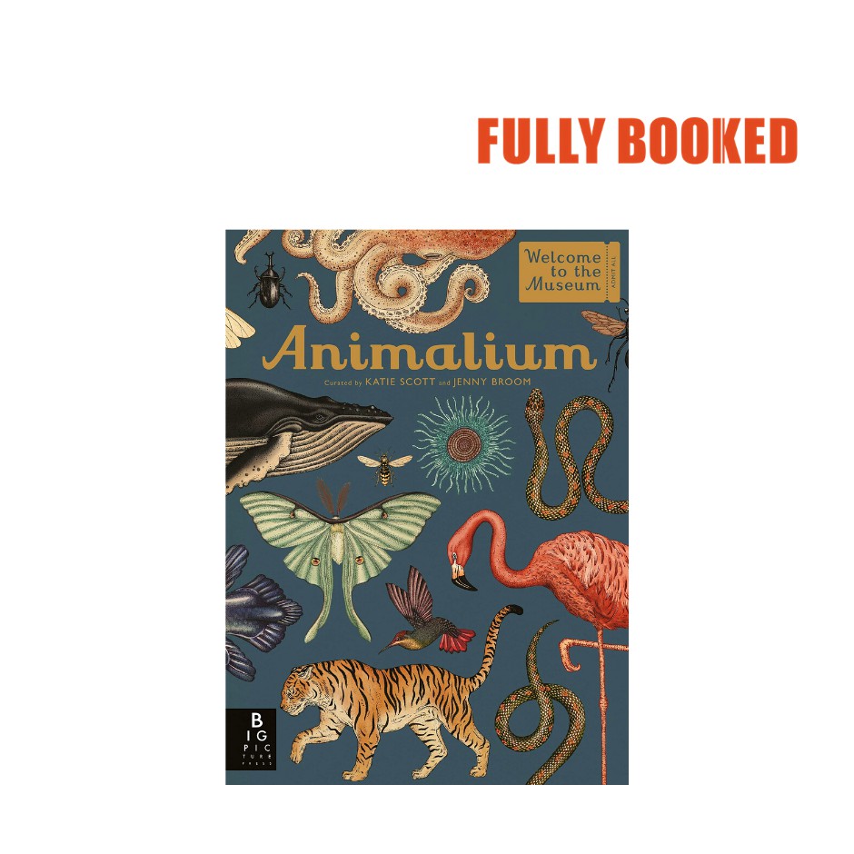 Welcome to the Museum: Animalium (Hardcover) by Jenny Broom, Katie ...