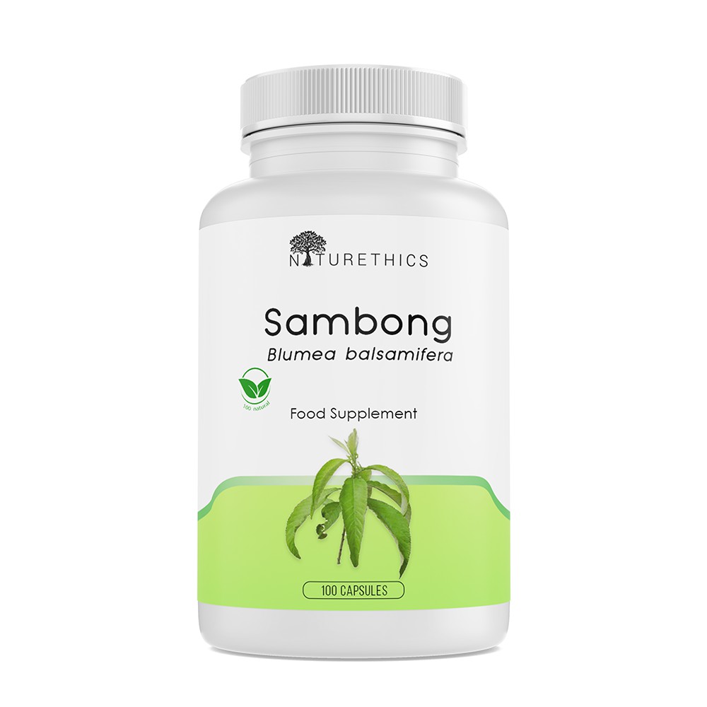 All Natural Sambong Capsules Herbal Food Supplement | Shopee Philippines
