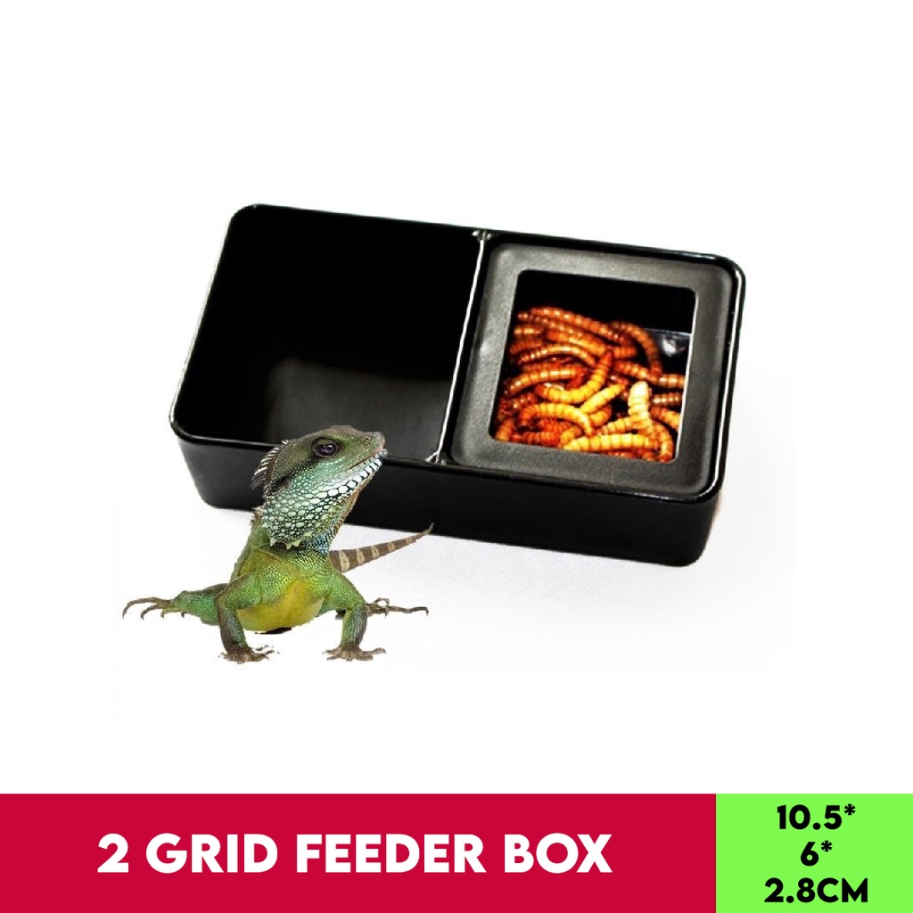 2 Grid Reptile Plastic Feeder Box Water Dish Bearded Dragon Gecko ...