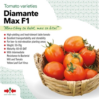 East West Seeds Diamante Max F1 Tomato in 25 grams can | Shopee Philippines