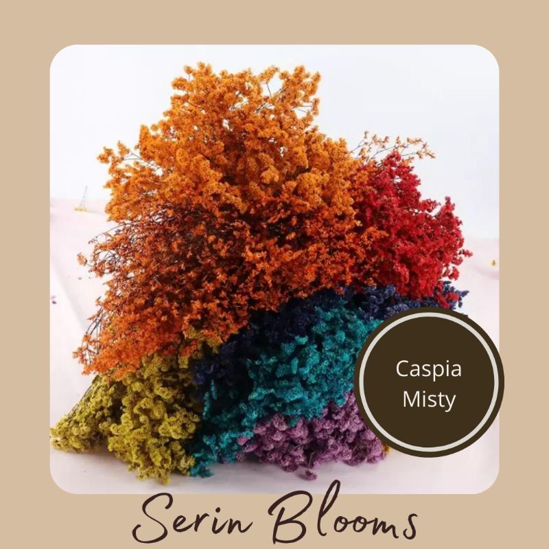 Caspia Real Dried Preserved Flowers | Shopee Philippines