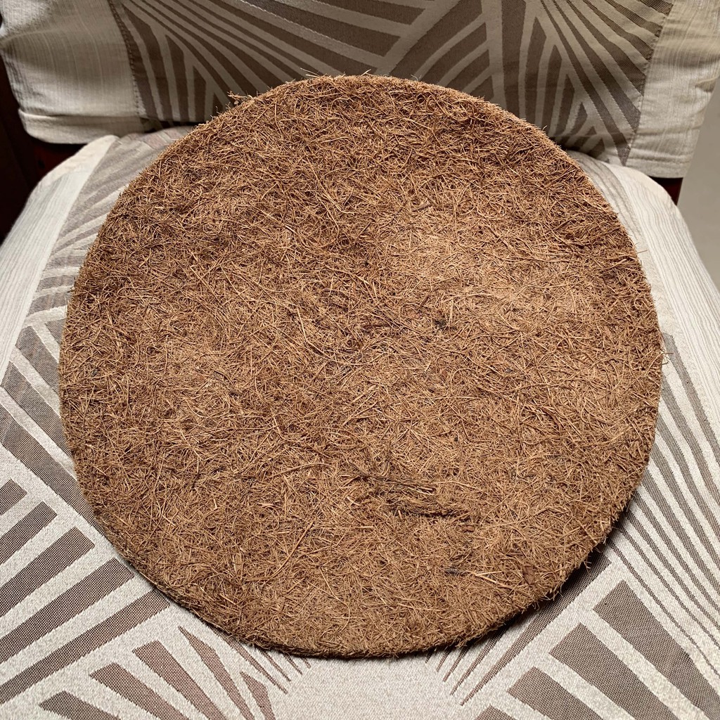 Beauty and the Beak, Online Shop | Shopee Philippines