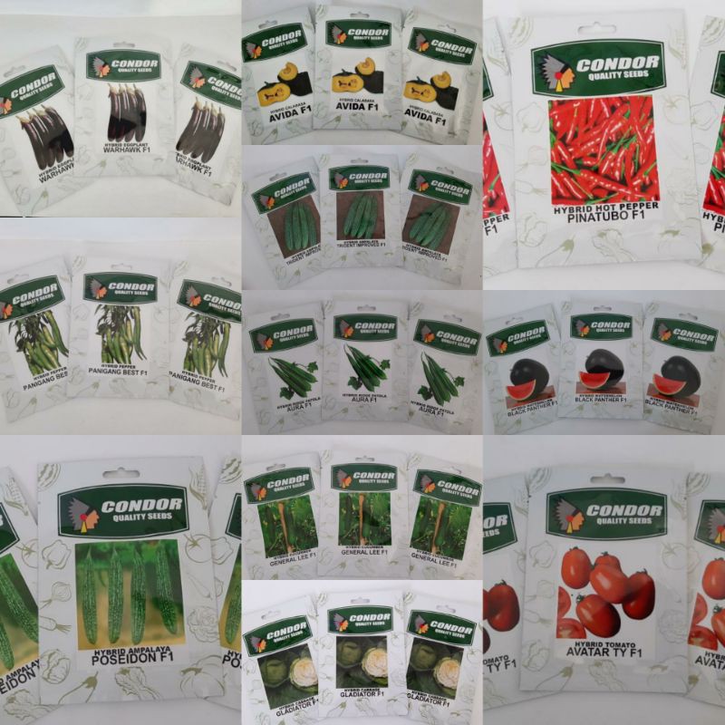 HYBRID VEGETABLE SEEDS SACHET CONDOR | Shopee Philippines