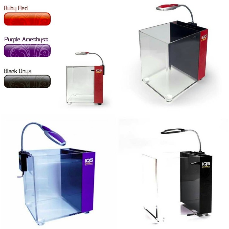 Dymax IQ5 Mini Acrylic Aquarium with Light and Filter | Shopee Philippines