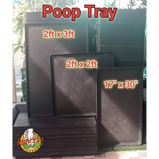 Poop tray 2x3ft, Poop tray 2x2, Poop tray 17x30 black | Shopee Philippines
