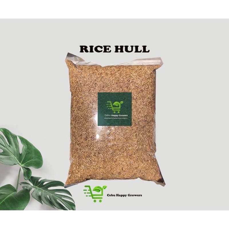 500g Fresh Rice Hull (Soil Amendment) | Shopee Philippines