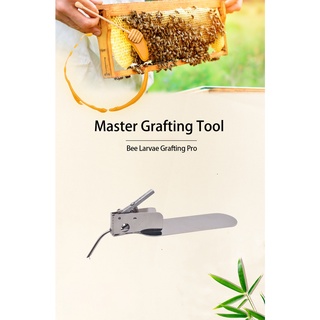 Stainless Steel Master Grafting Tool for Grafting Honey Bee Larvae with ...