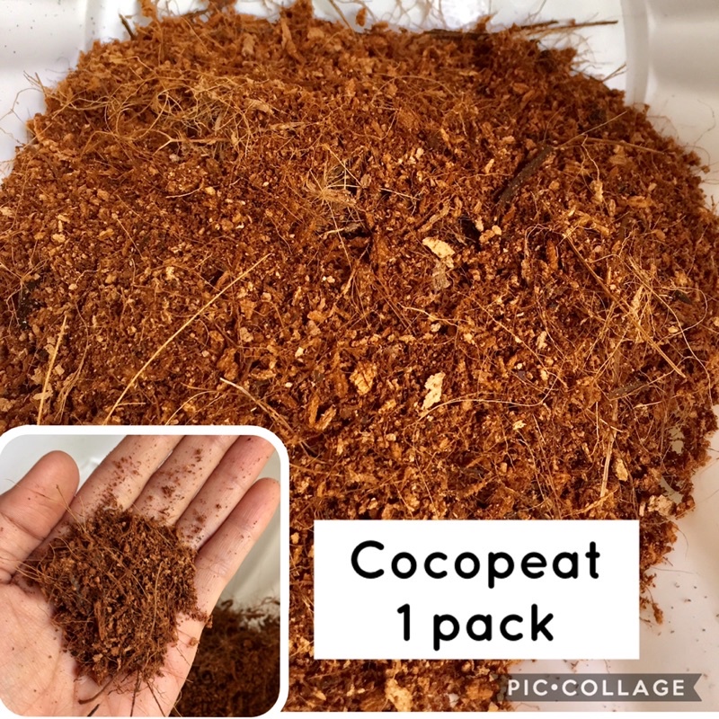 Cocopeat Coco husk per pack (1 pack per order) | Shopee Philippines