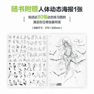 Human Body Structure Principles And Painting Teaching Xiao Weichun Chun