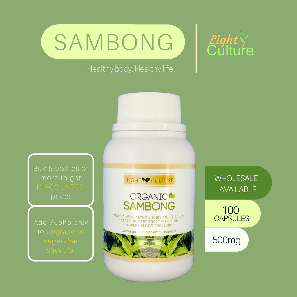 Pure/Authentic Sambong (100caps/500mg) Capsules | Shopee Philippines