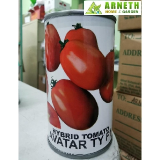 TOMATO AVATAR SEEDS BY CONDOR SMALL CAN (460SEEDS) | Shopee Philippines