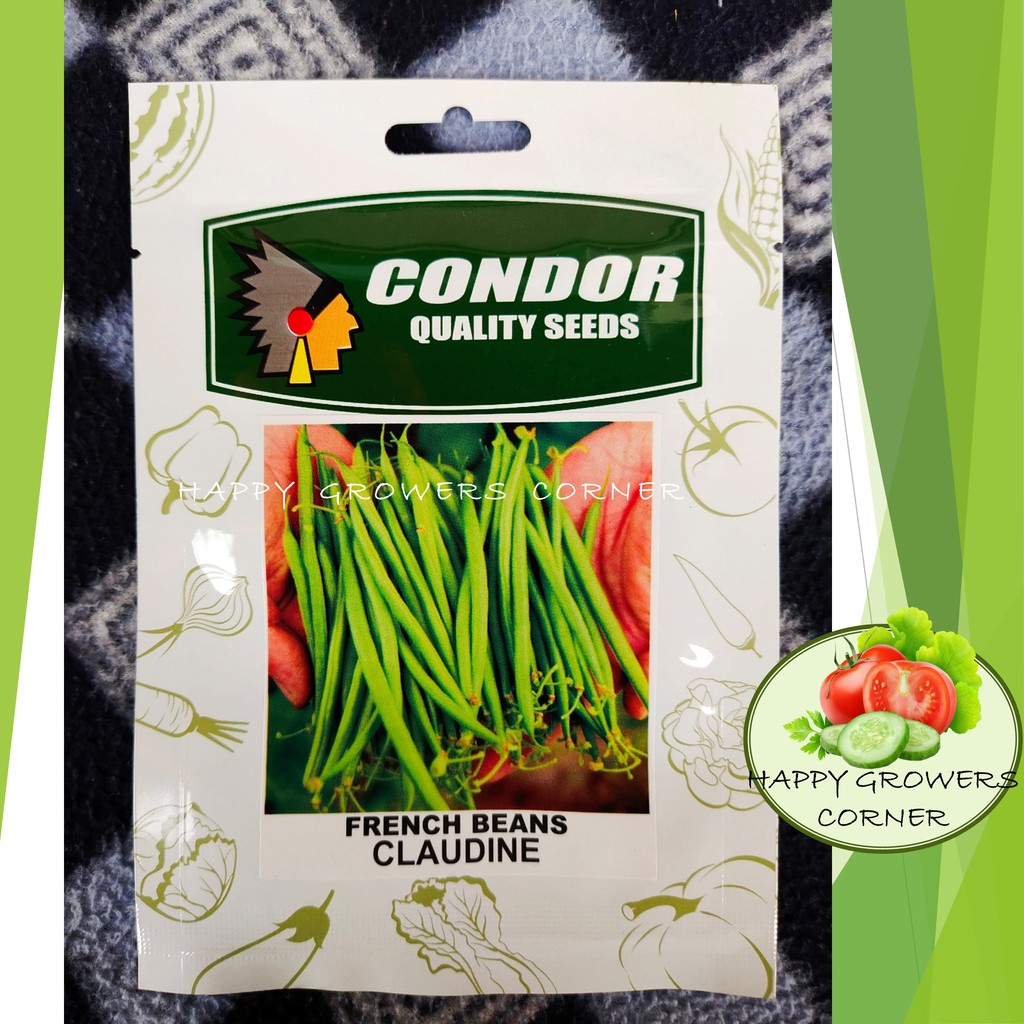 FRENCH BEAN CLAUDINE OPV (5 GRAMS) CONDOR SEEDS | Shopee Philippines