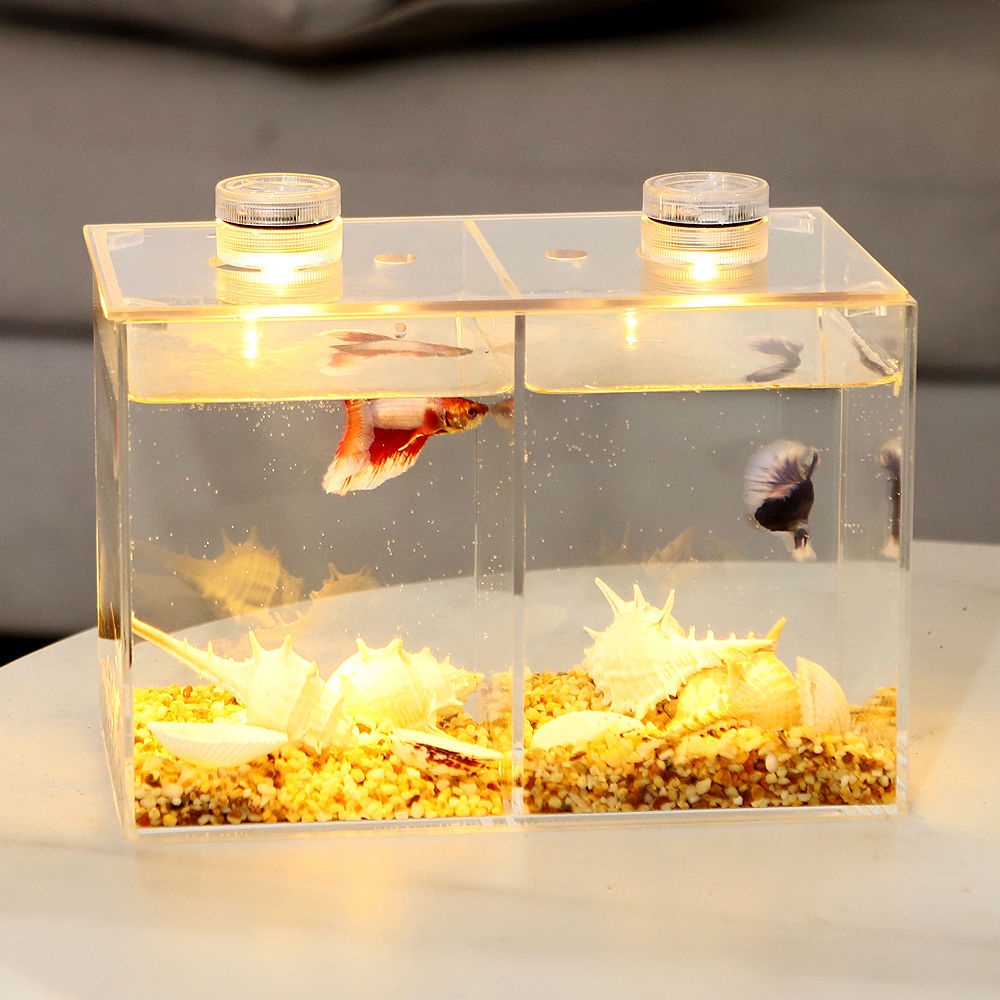 Mini Desk Aquarium Small In One | 1 Gallon Desktop Aquarium