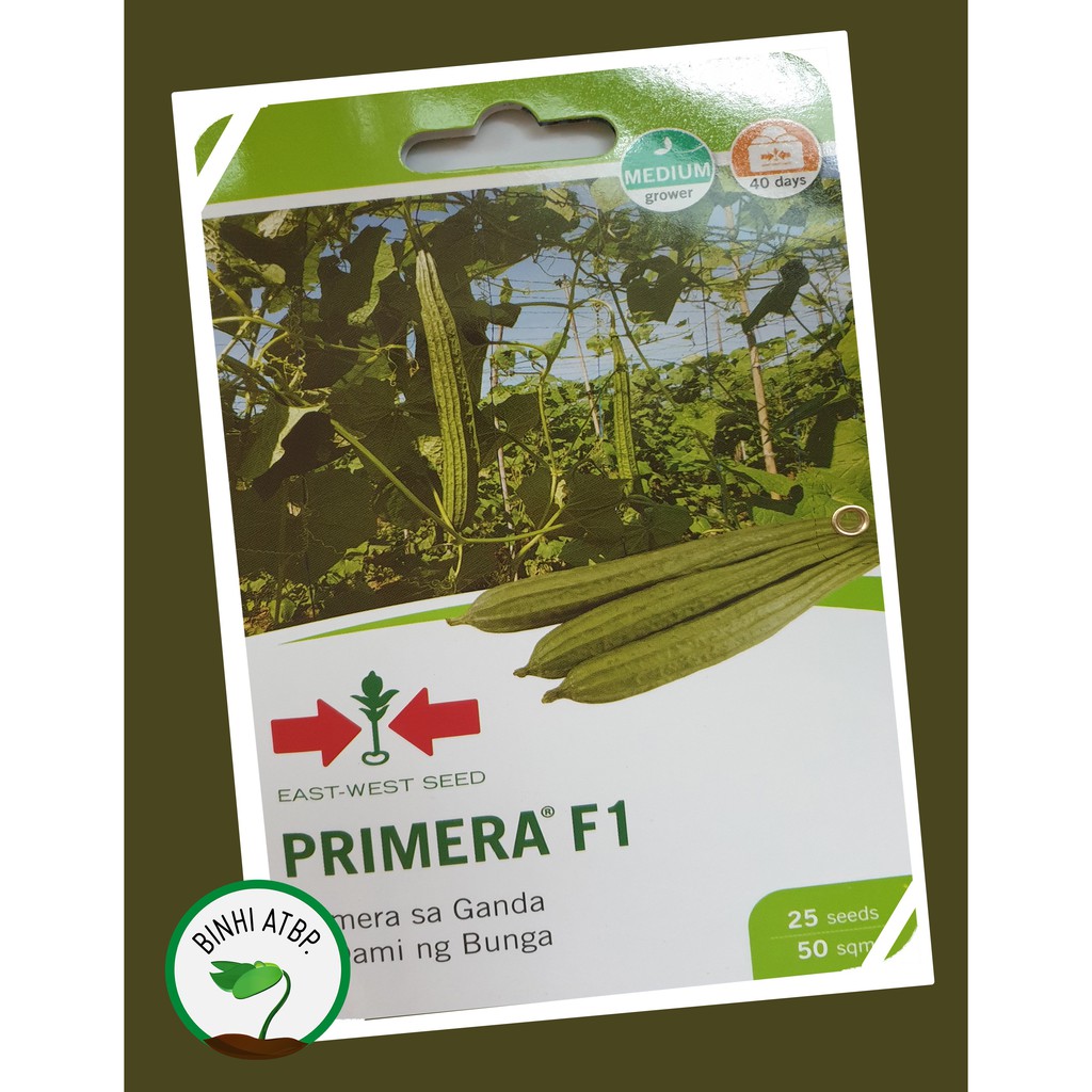 East-west Primera F1 Patola (Sponge Gourd) Seeds (1 Pack - 25 Seeds ...