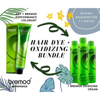 Bremod Purple Hair Dye + Oxidizing Cream 100ml Bundle | Shopee Philippines