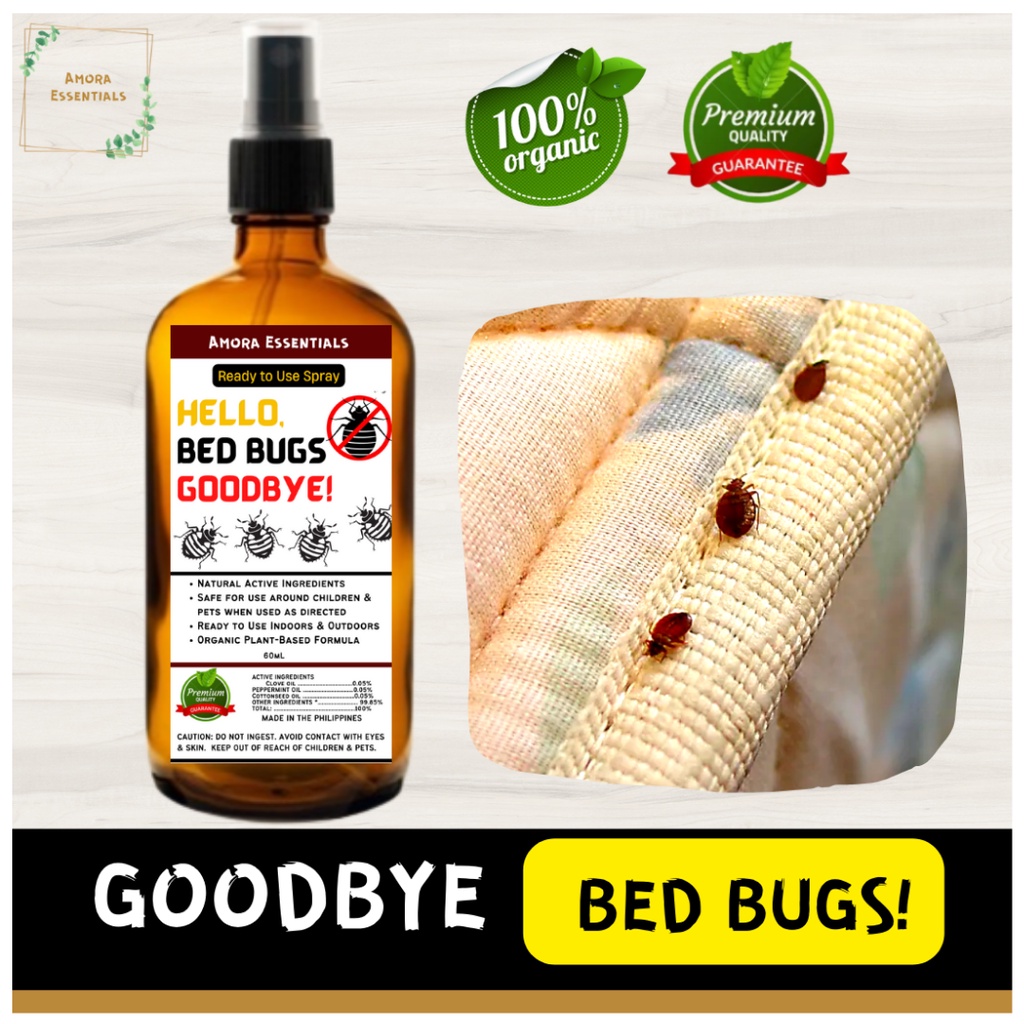 AMORA Essentials BED BUG Bed bugs spray solution, Bed bugs spray killer, Bed bugs solution, bed ...