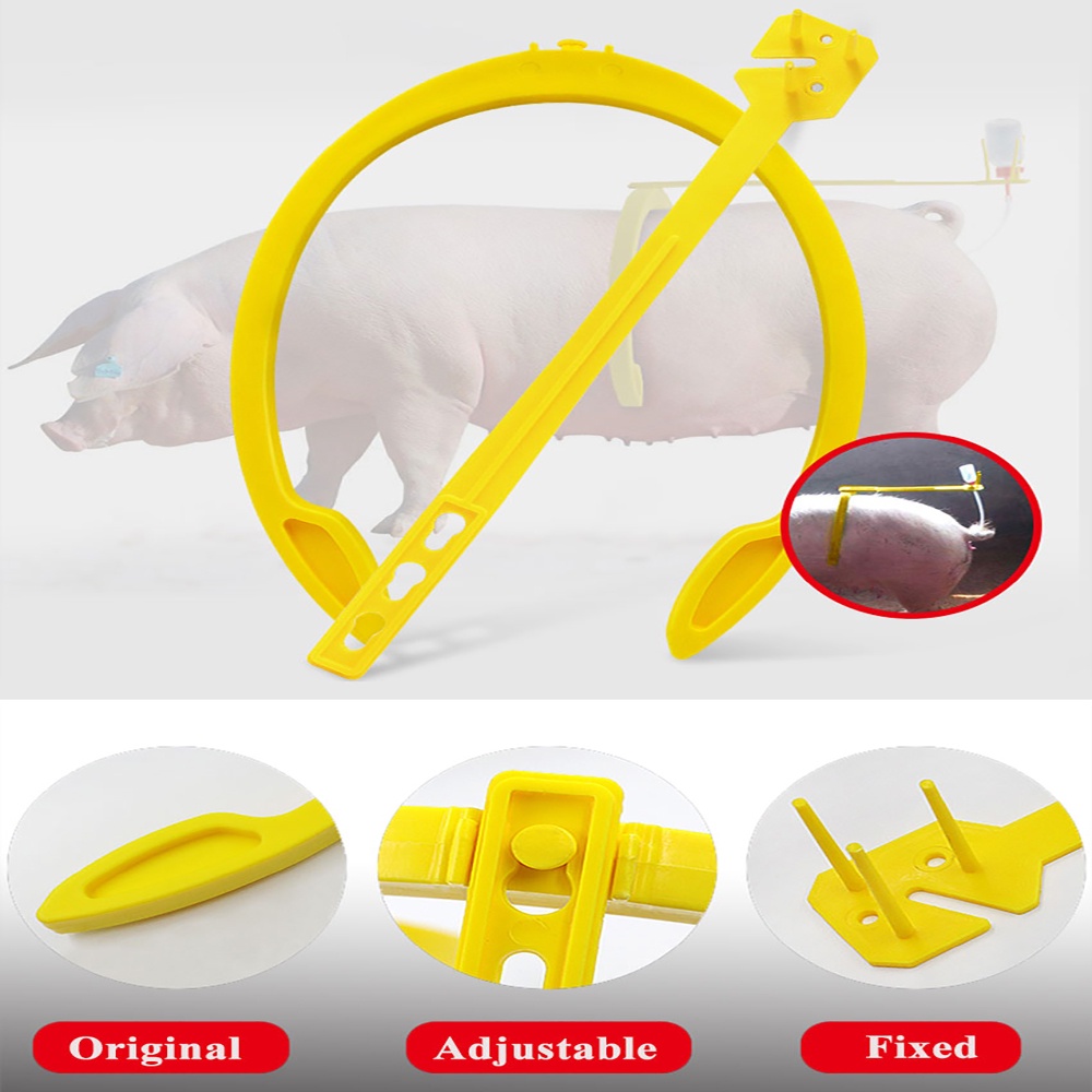 Pig Insemination Clip Holder Sows Insemination Clamp Artificial ...