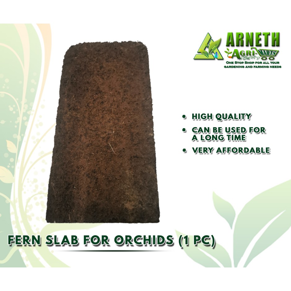 FERN SLAB FOR ORCHIDS (25.5CM X 12.75CM X 2.5CM) (1 PC) | Shopee ...