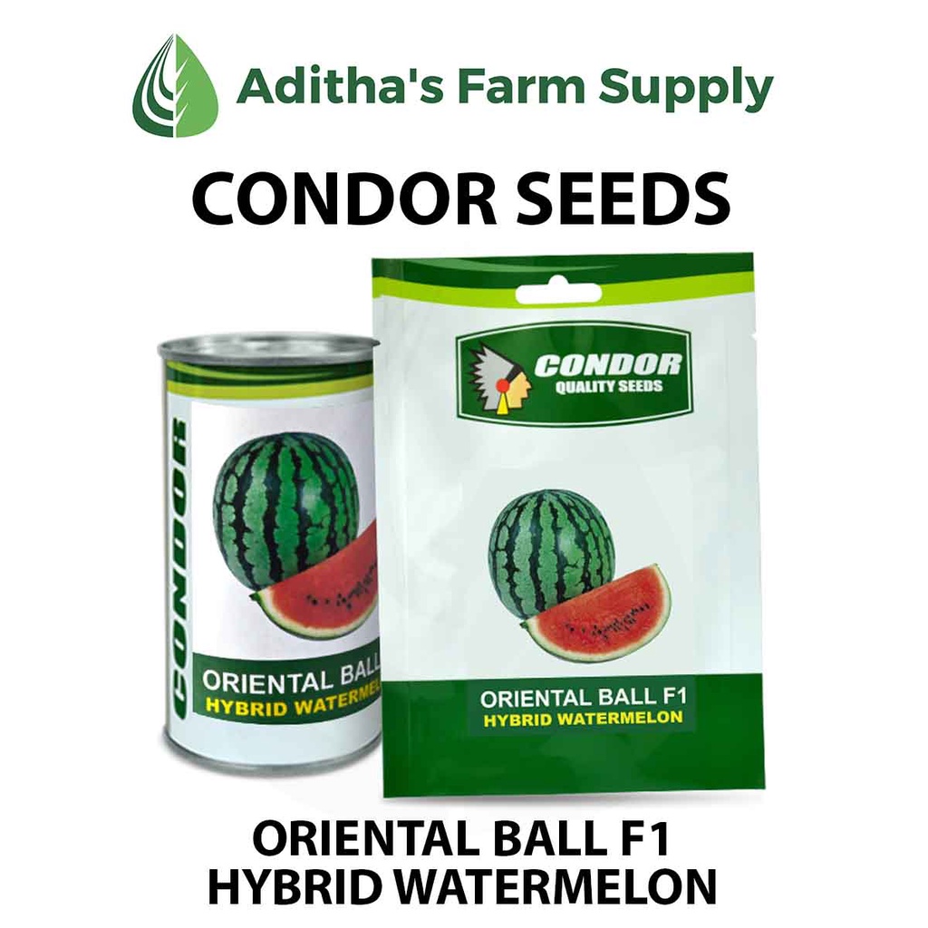 Condor Seeds: Oriental Ball (Hybrid Watermelon) 2 grams | Shopee ...