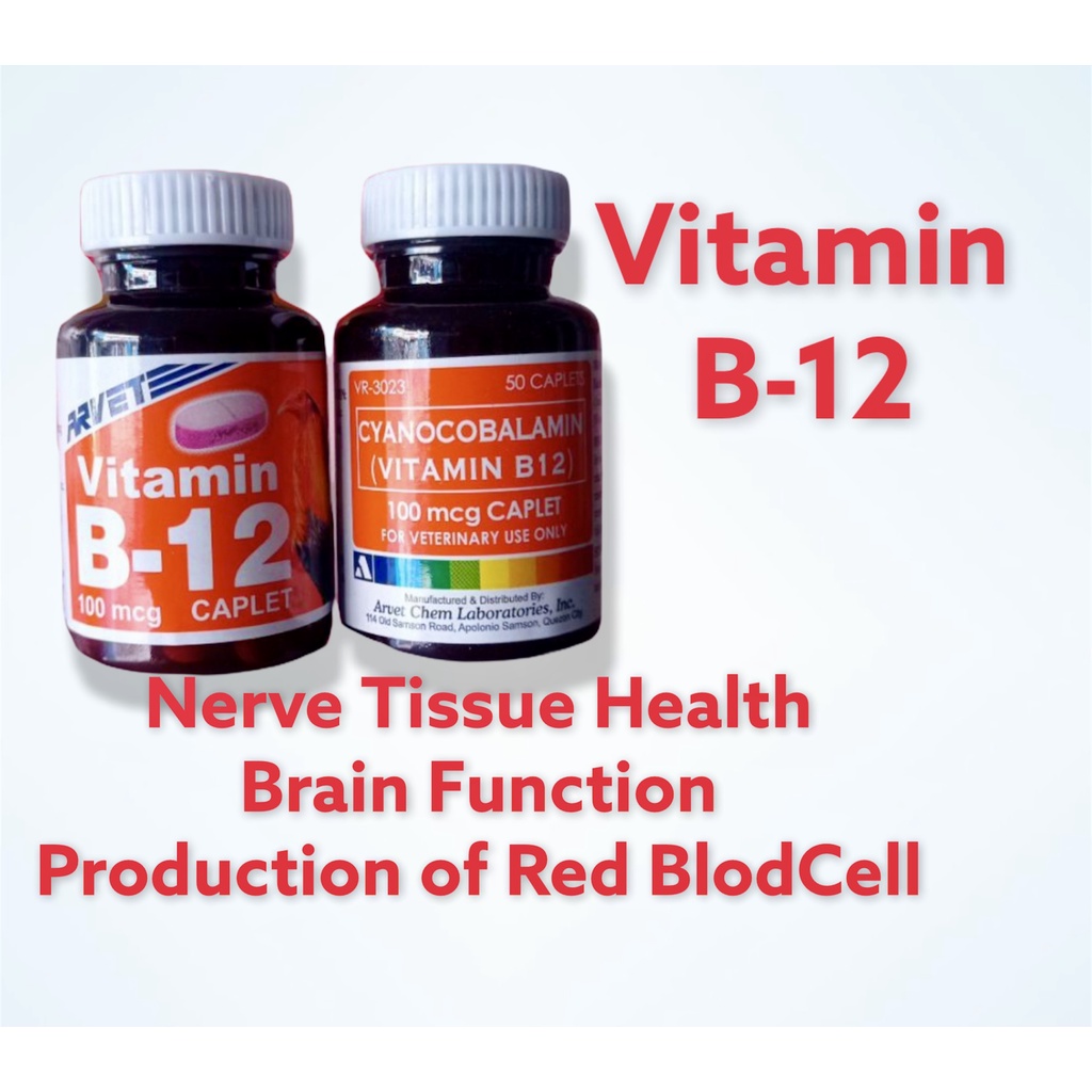 ARVET B12 CYANOCOBALAMIN BLOOD NERVE BRAIN FUNCTION FOR DOG CAT PIGEON ...