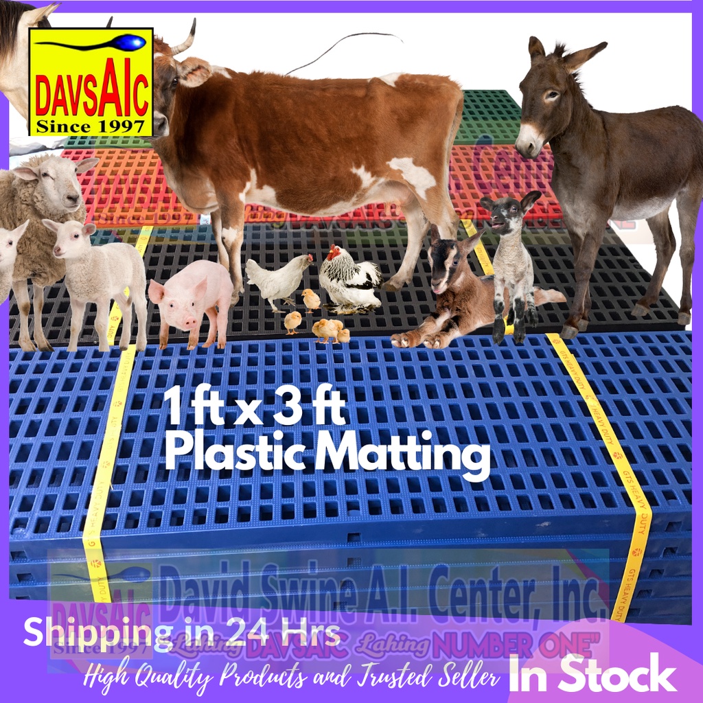 1ft x 3 ft Plastic Matting Heavy Duty Interlocking Dog Pig Flexible ...