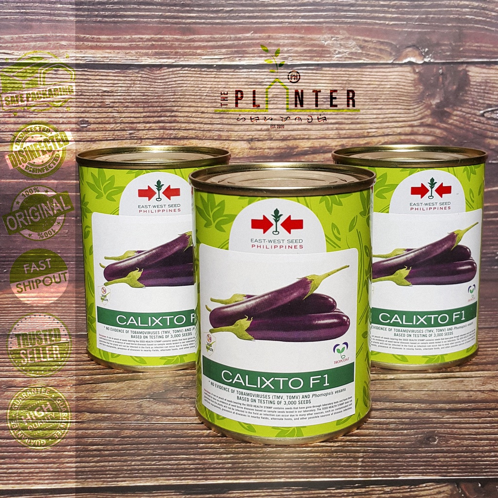CALIXTO F1 (50g) TALONG / EGGPLANT - EAST - WEST SEED (Original ...