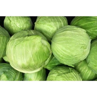 cabbage/repolyo and pechay Baguio (1kilo) | Shopee Philippines