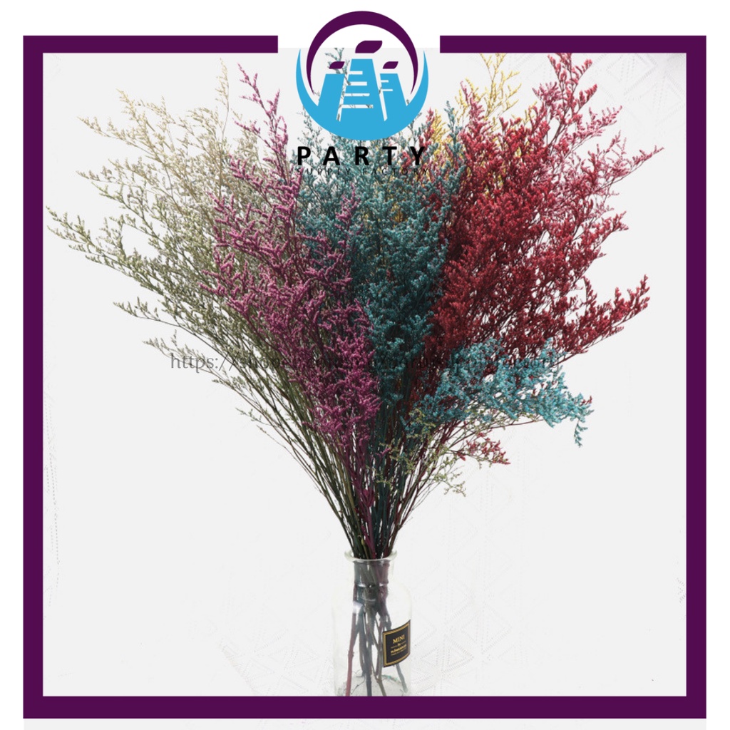 CASPIA VIRAL PRESERVED FLOWER LEAVES / DAUN CAPSIA FOR DECORATION ...