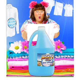 Mighty Clean Fabcon Blue Bliss - FS Blue 1 GALLON | Shopee Philippines