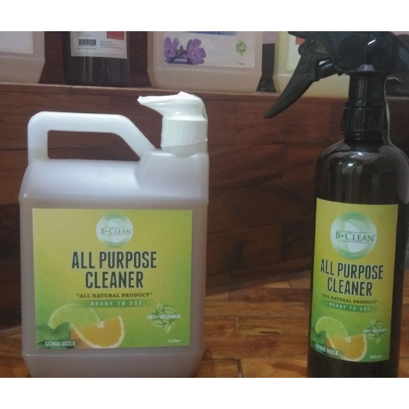 BClean All Purpose Cleaner | Shopee Philippines