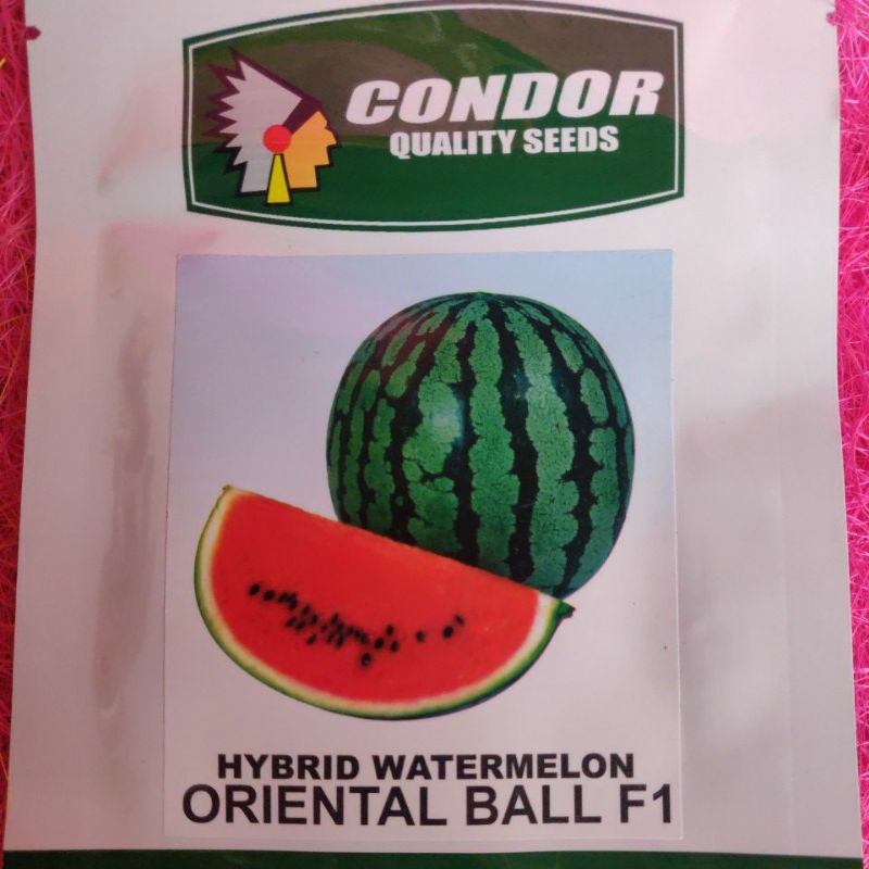 HYBRID WATERMELON SEEDS ORIENTAL BALL F1 SCHT 2GRMS CONDOR SEEDS ...
