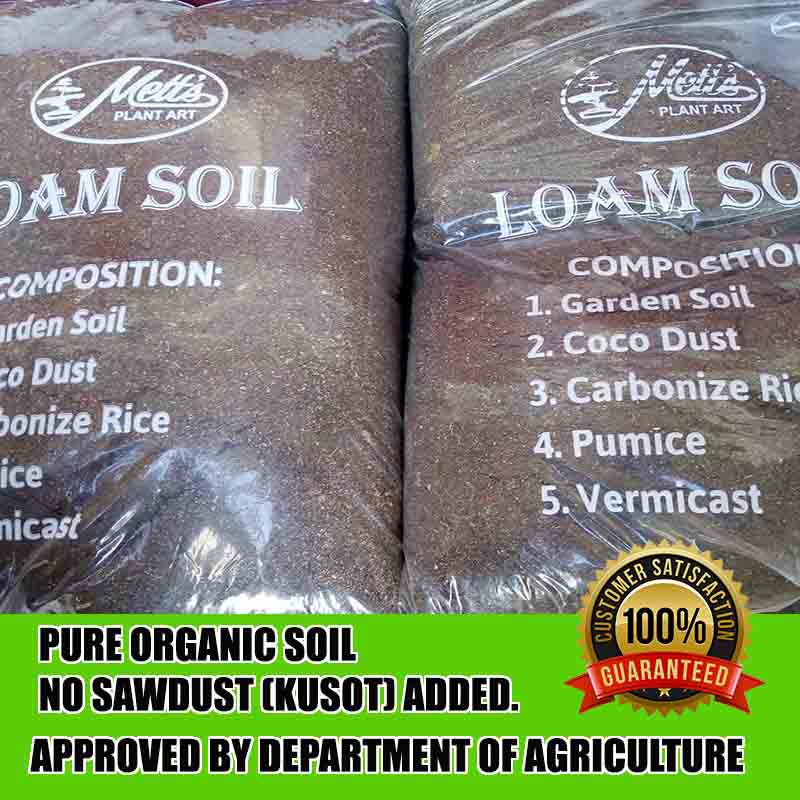 Pure 1kg Soil Mix with Vermicast, compost, loam soil, and Carbonized ...