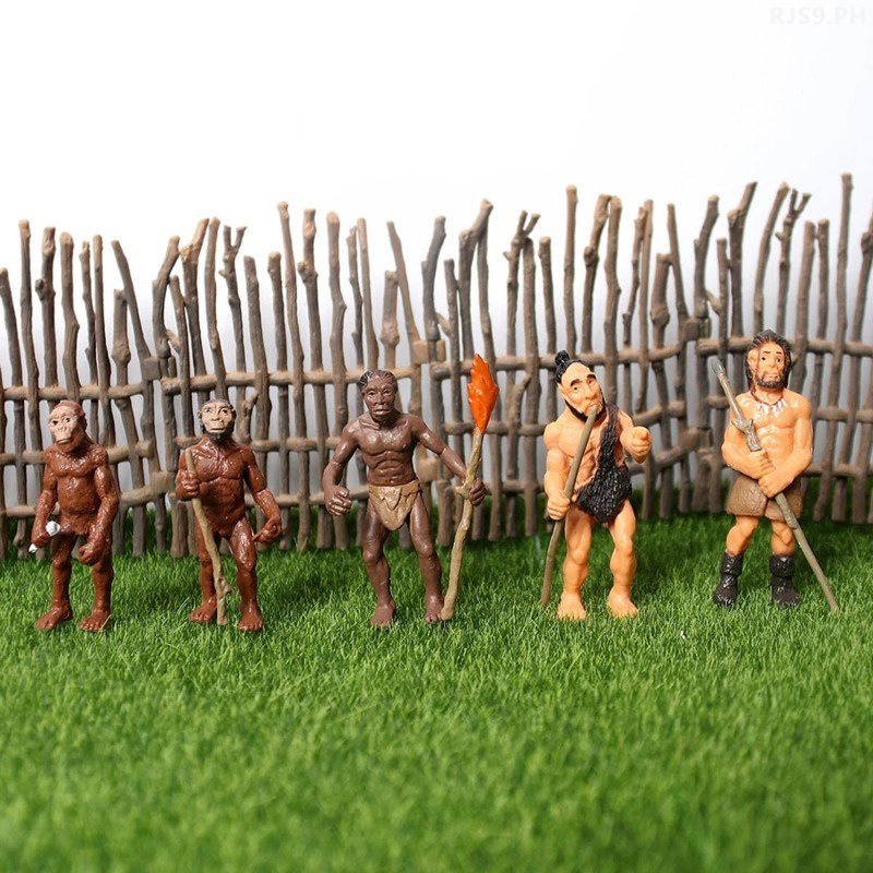 Simulation Human Evolution Of Man Primitive Human Model Figures Toy ...