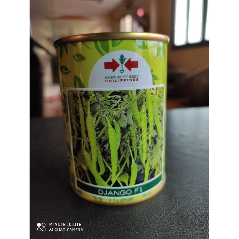 Django F1 Siling Haba Seeds 25g | Shopee Philippines