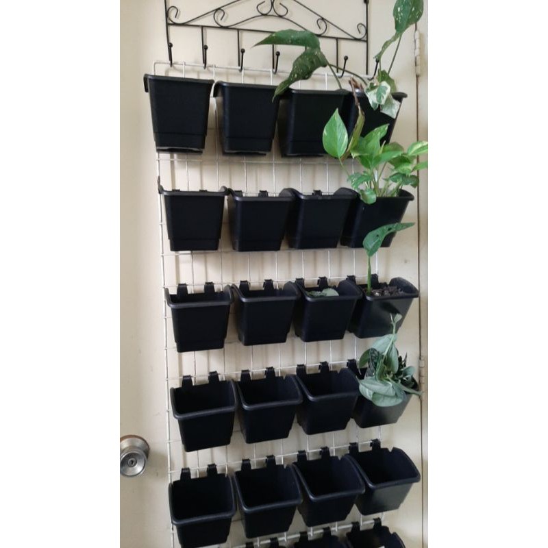 CM Vertical Hanging Pot 12 PCS | Shopee Philippines
