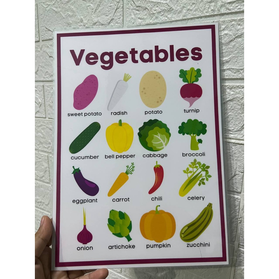 Educational learning materials for kids Laminated A4 Size Chart FRUITS ...