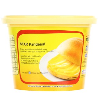 Magnolia Star Margarine Classic 250g | Shopee Philippines