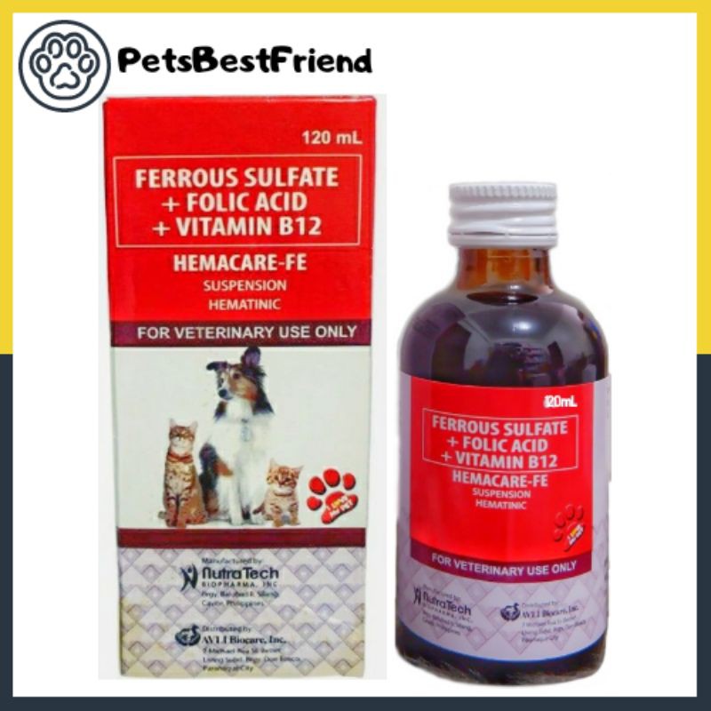 Can Dogs Take Ferrous Sulfate