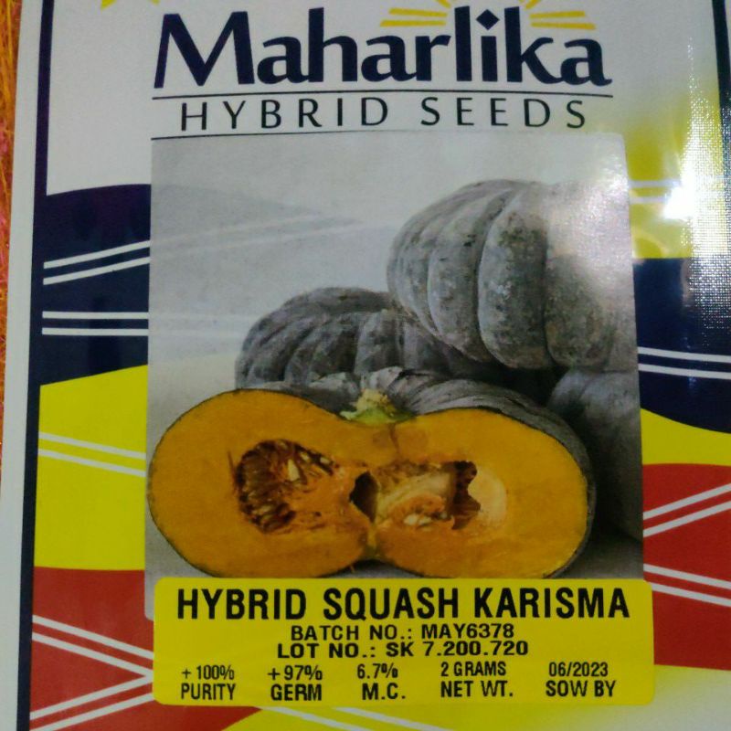 HYBRID SQUASH SEEDS KARISMA SACHET 2GRMS MAHARLIKA SEEDS VEGETABLE ...