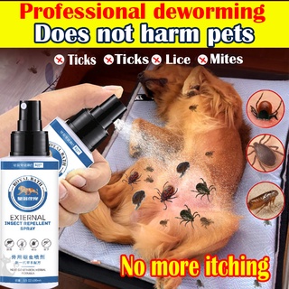 kuto - Best Prices and Online Promos - Mar 2023 | Shopee Philippines